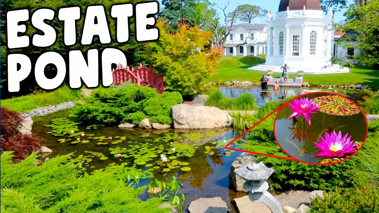 YOU Won't Believe This *PRIVATE ESTATE POND* - YouTube