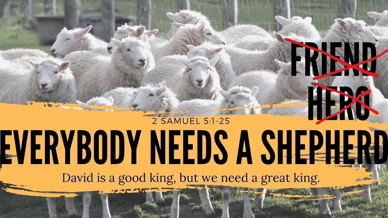 Everybody Needs A Shepherd 2 Samuel 5 1 25 YouTube
