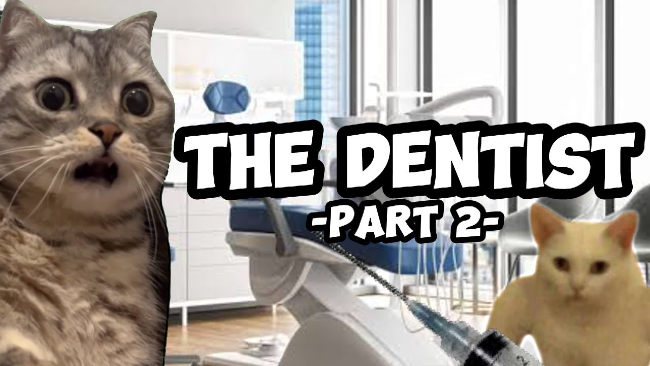 CAT MEMES: RETURN TO THE DENTIST PT.2 - YouTube