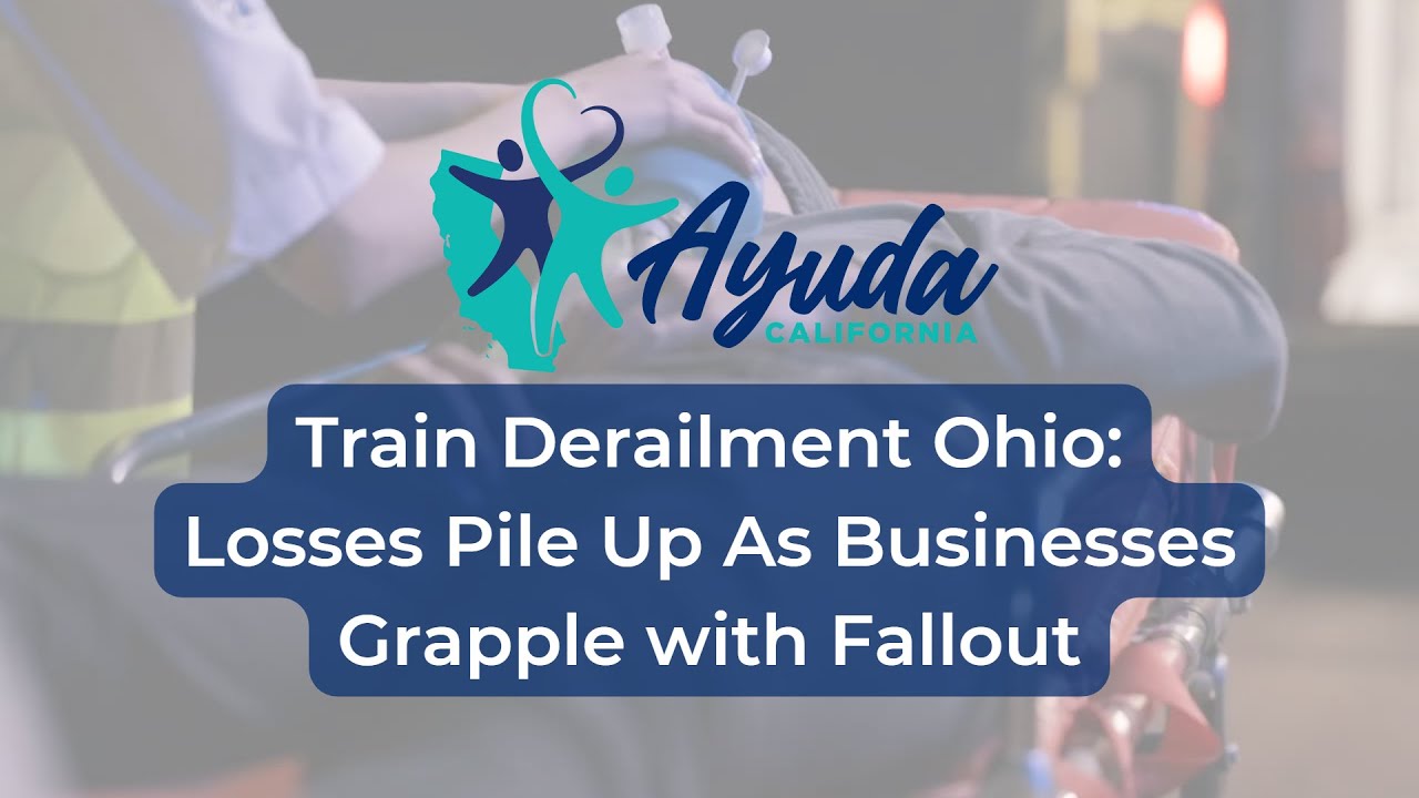 Train Derailment Ohio: Losses Pile Up As Businesses Grapple with ...