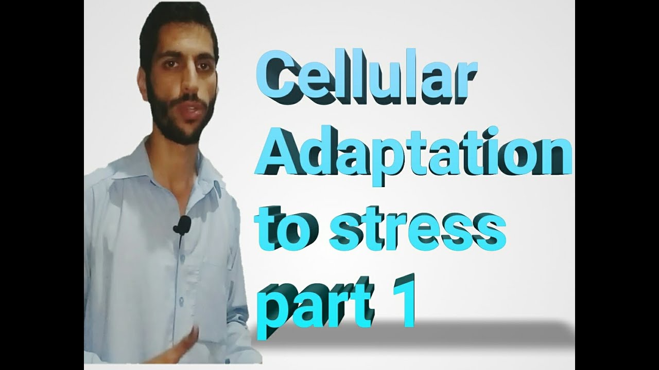 Cellular Adaptations to stress part 1 - YouTube