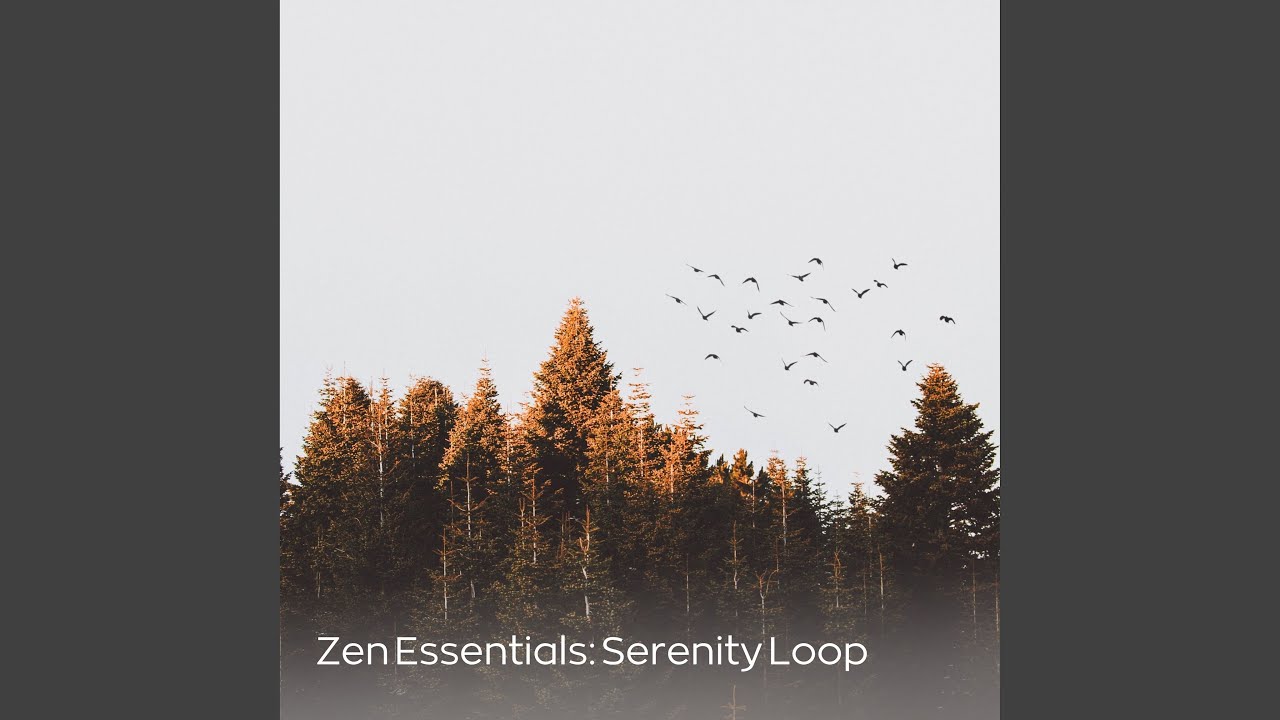 Calm Oasis: Loopable Yoga Essentials - YouTube