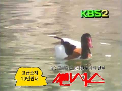 KBS2 ID(1994.4) - YouTube