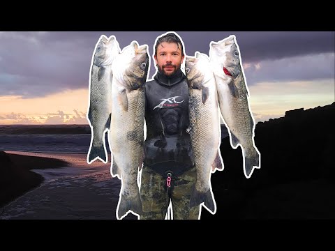 Pesca Submarina - Robalos (Verão 2021) Parte 1 // Spearfishing - Sea Bass (Summer 2021) Part 1