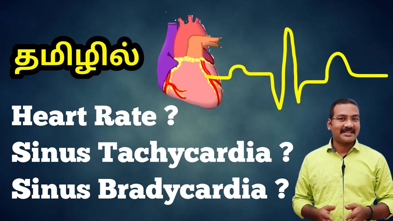Normal Heart Rate Sinus Tachycardia And Sinus Bradycardia Explained In Tamil YouTube normal-heart-rate-sinus-tachycardia-and-sinus-bradycardia-explained-in-tamil-youtube