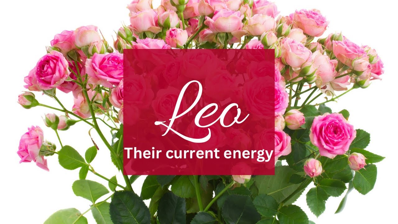 Leo ️This is the reason they r “acting” they don’t care! U have ...