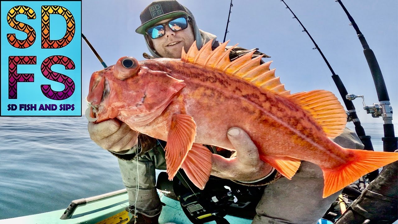 DEEP WATER ROCKFISH San Diego 9 Mile Bank SOLO SKIFF Fishing with ...