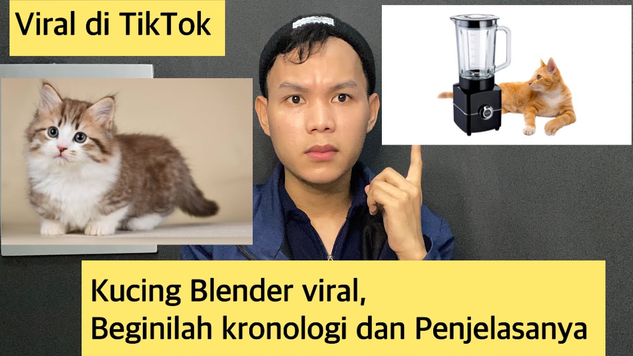 Kucing Blender Viral di TikTok - YouTube