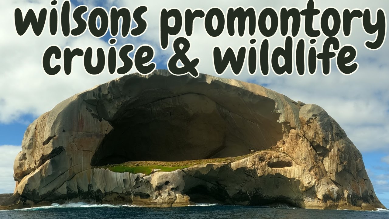 OUR BIG WILSONS PROM ADVENTURE - YouTube