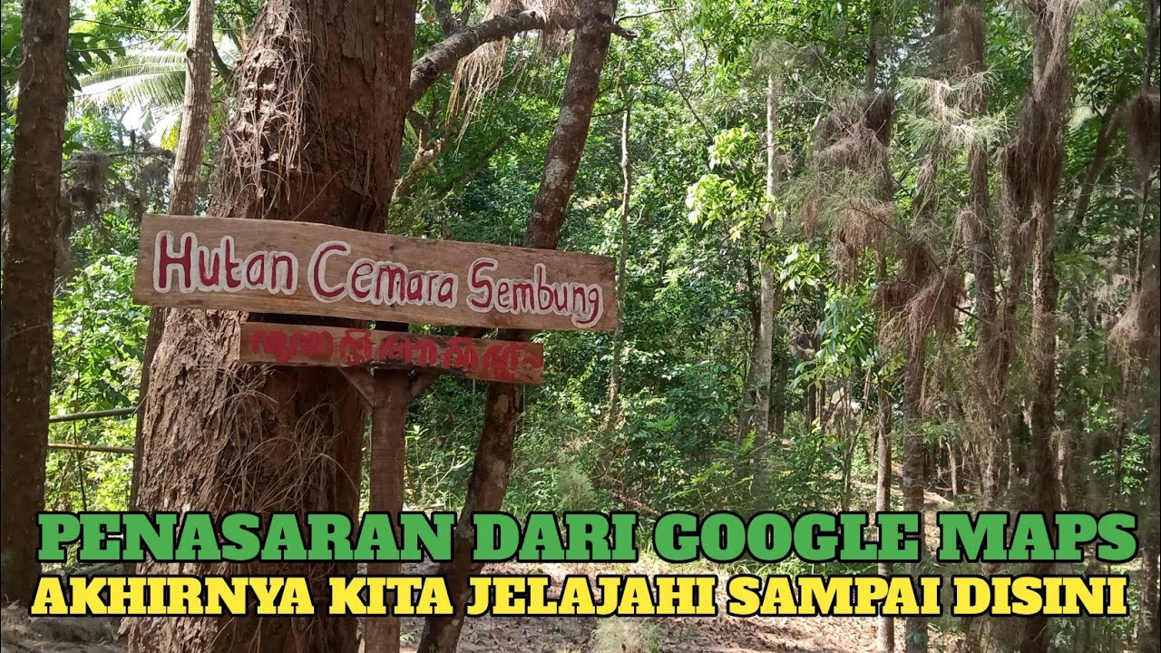 Keindahan Jalan Perbukitan ke hutan Cemara Sembung - YouTube