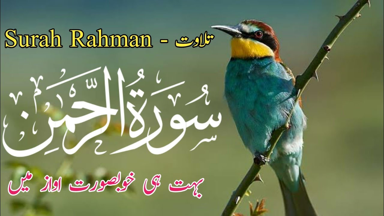 Surah Rahman Full Qari Rehan Karim Beautiful Voice #Ep10- No AdS ...