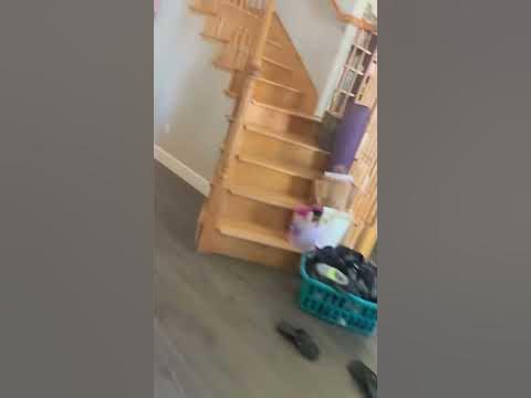 I CANT FIND MY EASTER BASKET!! Part 2 - YouTube