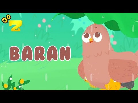 Zarok TV - 🎵 BARAN 🎵