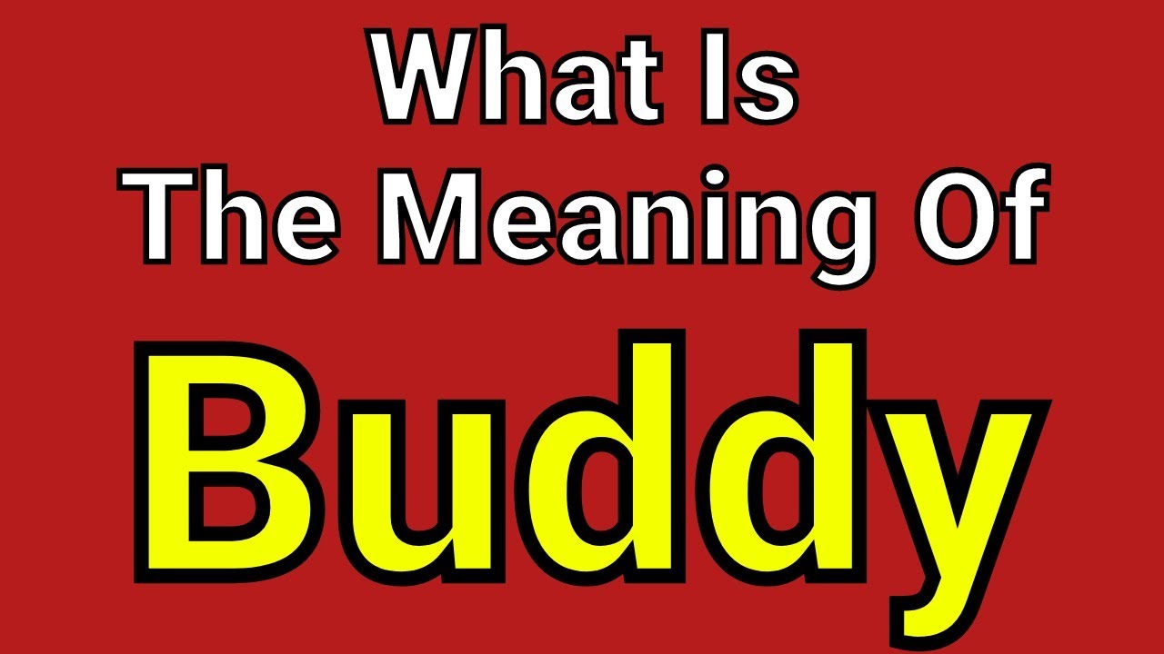 Meaning Of Buddy | Buddy | English Vocabulary | Most Common Words in ...