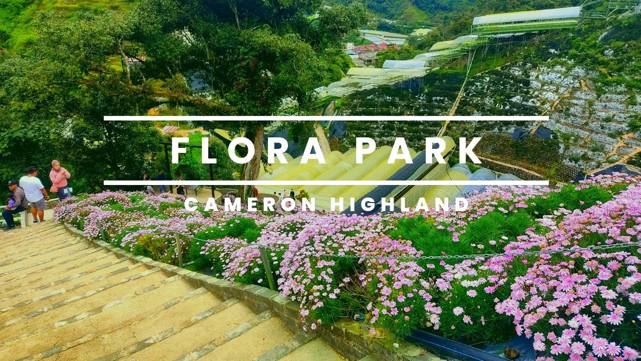 Flora Park, Cameron Highland Malaysia. AMAZING PLACE TO VISIT! - YouTube