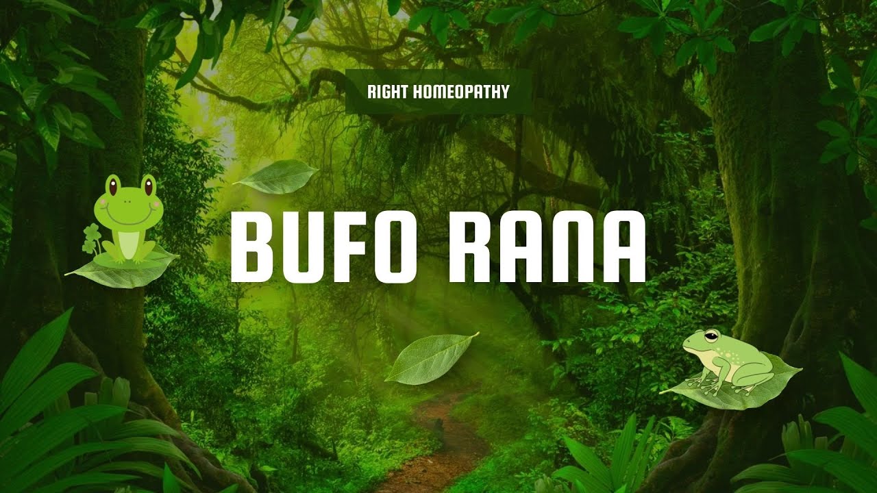 Comprehensive information about Bufo Rana - HERF - Right Homeopathy ...