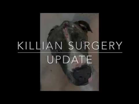 Killian Surgery Update- NYBC March 2019 - YouTube