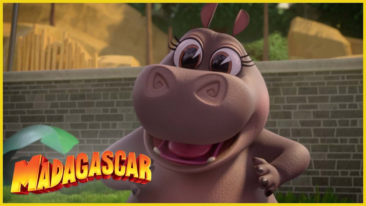 Gloria es un hippo muy valiente | DreamWorks Madagascar en Español ...