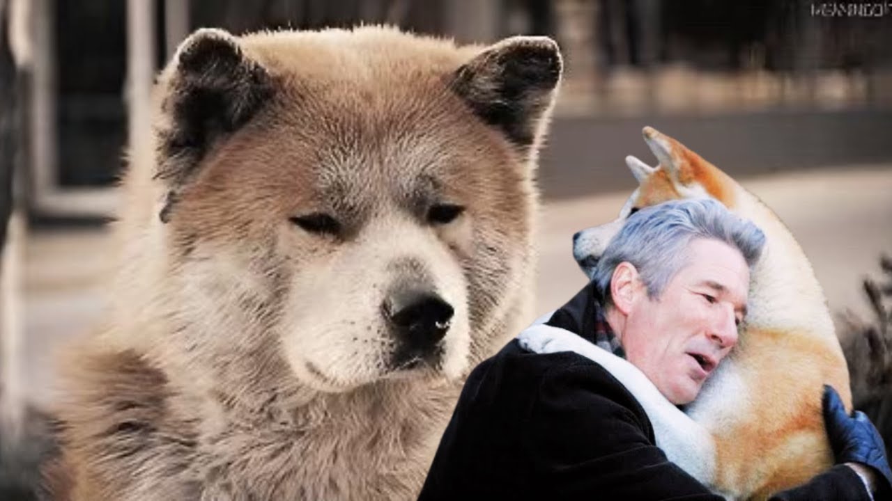 El perro más leal del mundo que esperó a su dueño durante 10 años - YouTube