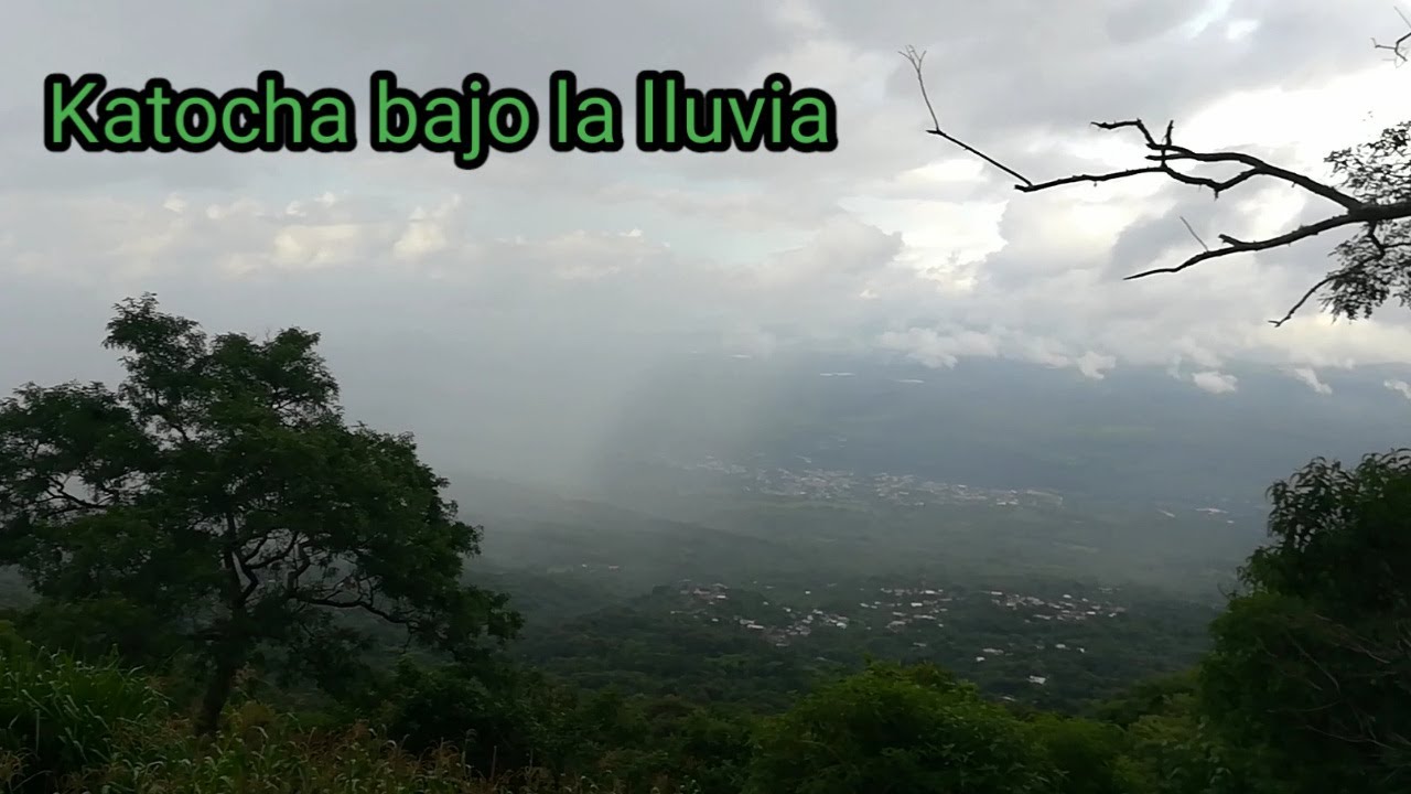 Asi se ve katocha bajo la lluvia - YouTube