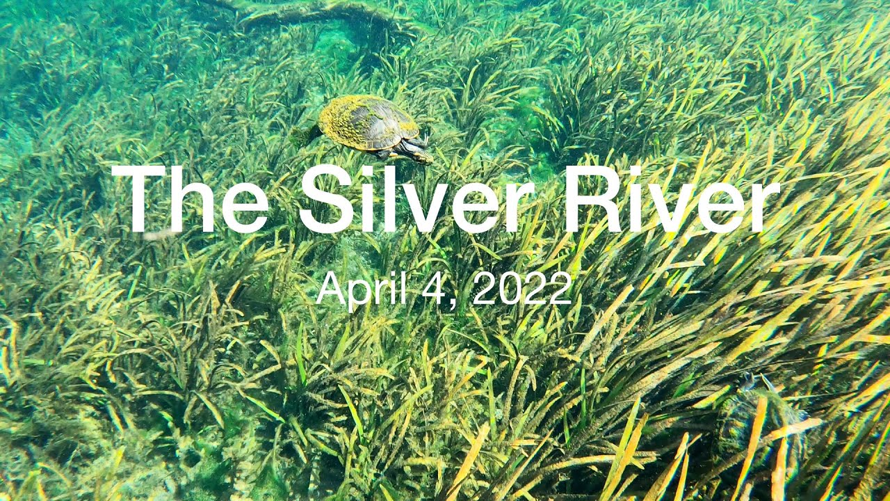 The Silver River - YouTube