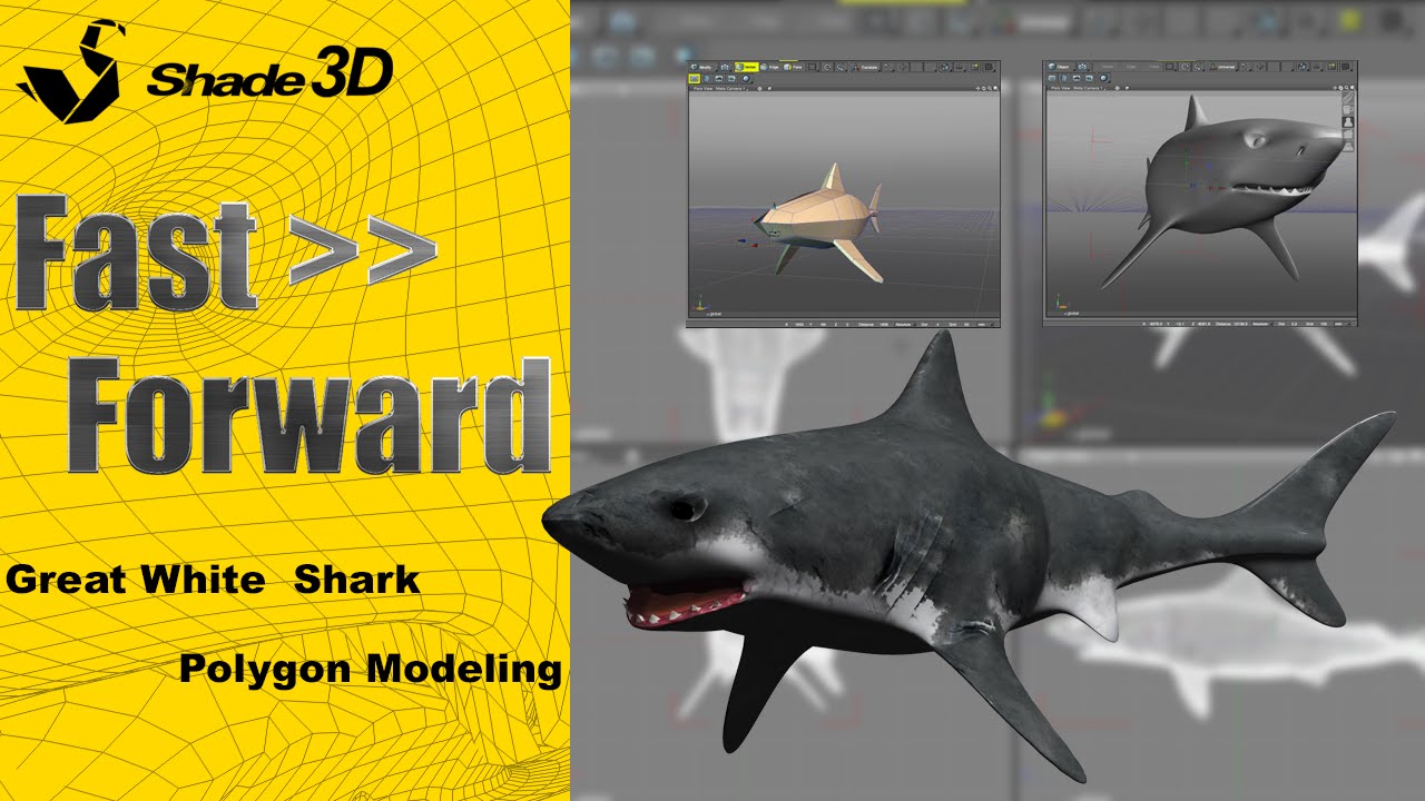 Great White Shark PolyModeling - Shade 3D - YouTube