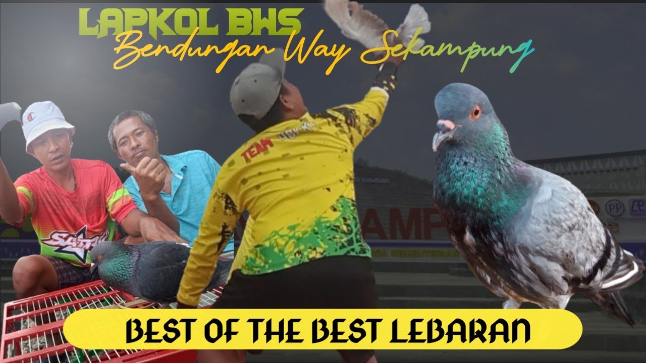 LOMBA MERPATI KOLONG‼️LAGA BOB LAPKOL BWS💥Bendungan Way Sekampung ...