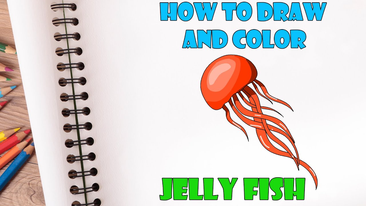 How To Draw And Color Jelly Fish Step By Step Guide | Easy Drawing ...