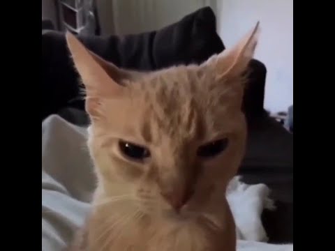 random impact frame test - YouTube