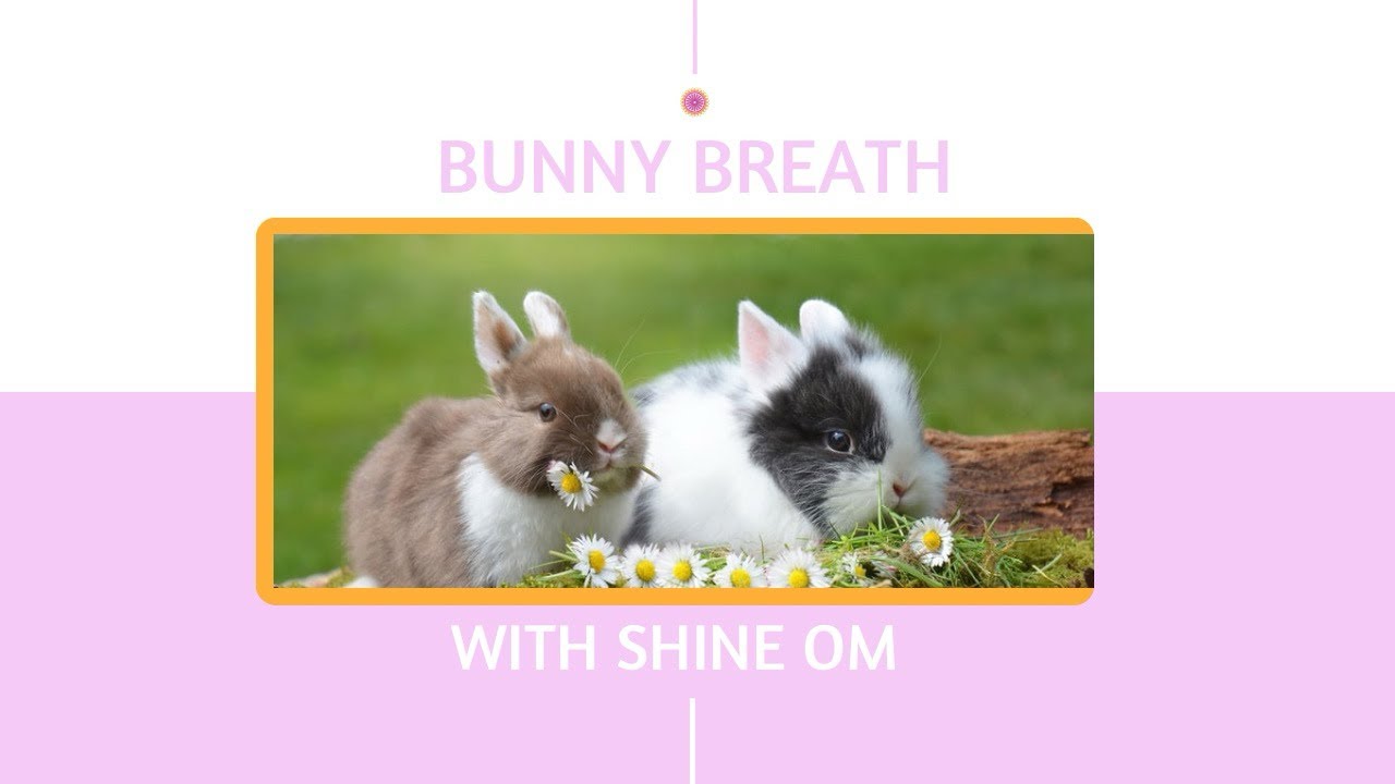 🐰 Hop into Calm with Bunny Breath! 🌿 | Fun Breathing Exercise for Kids ...