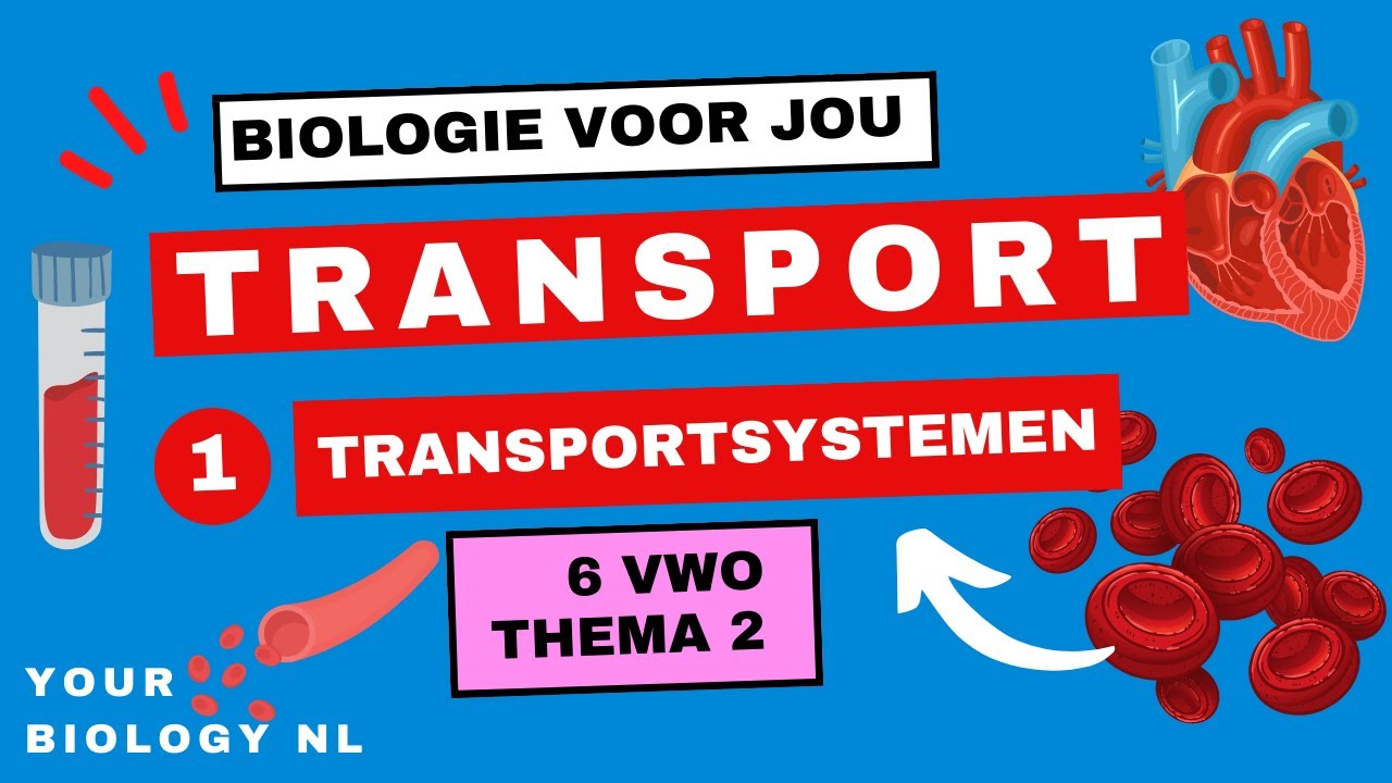 6 vwo | Transport | 1 | Transportsystemen & Embryonale bloedsomloop ...