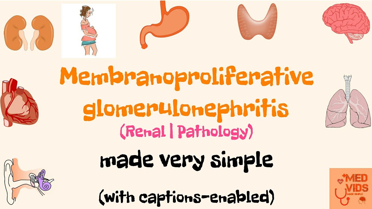 Membranoproliferative glomerulonephritis | MPGN | Renal system ...