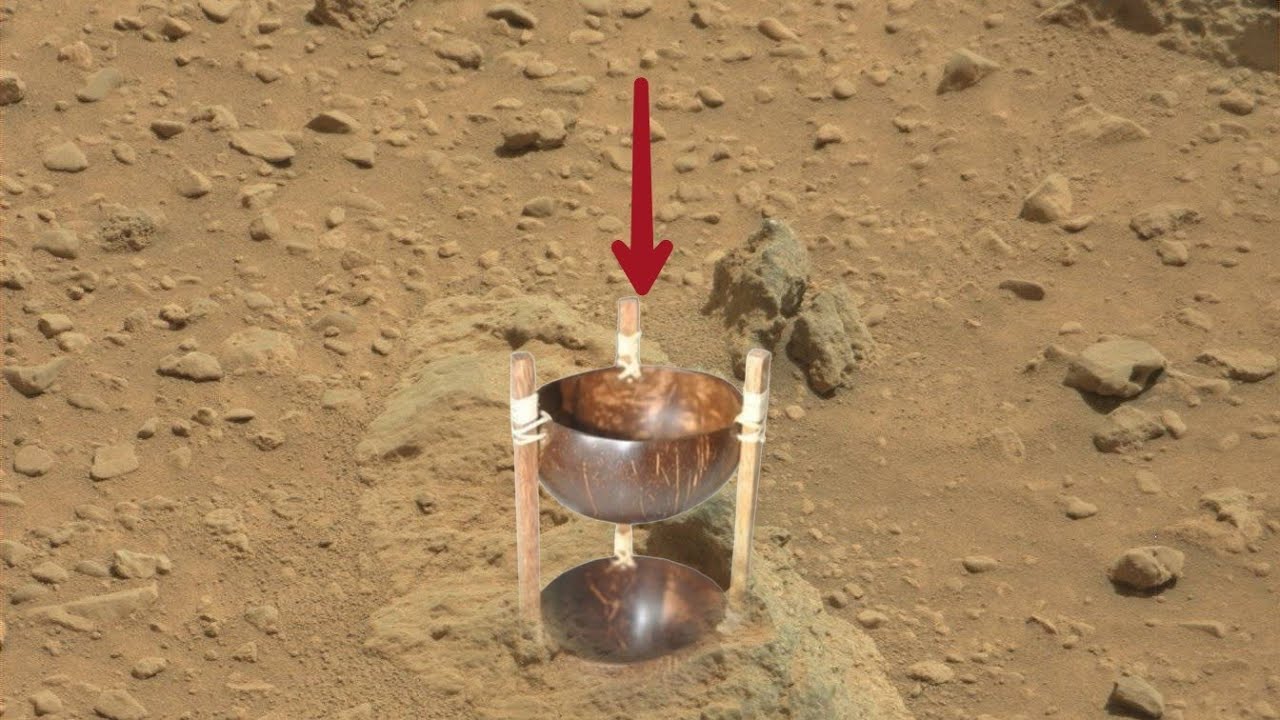 A Celestial Discovery Nasa Unveils Stunning New Video Of Mars Landing