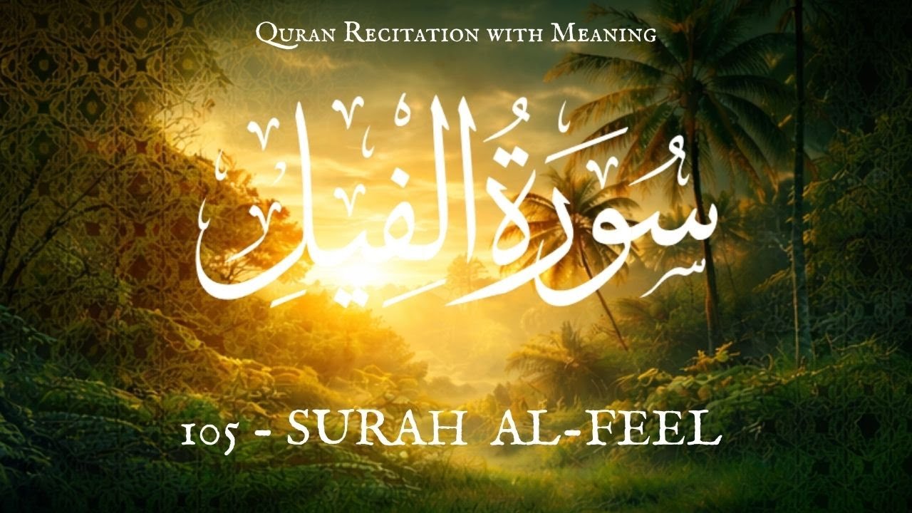Surah Al-Fil | Qur’an Recitation & English Translation - 105 - YouTube