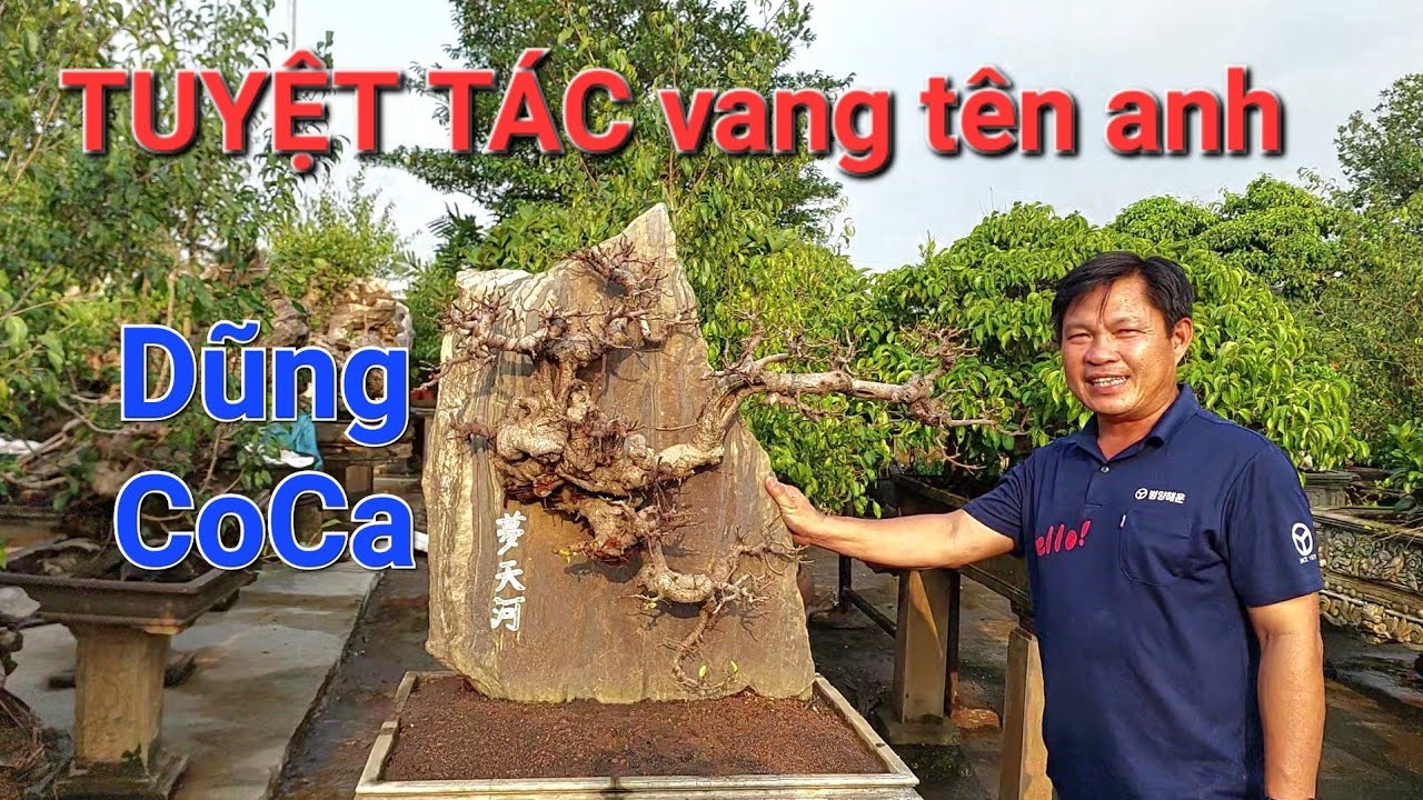 Anh DŨNG COCA là người chuyên tạo ra những TUYỆT TÁC * TP của anh có ...