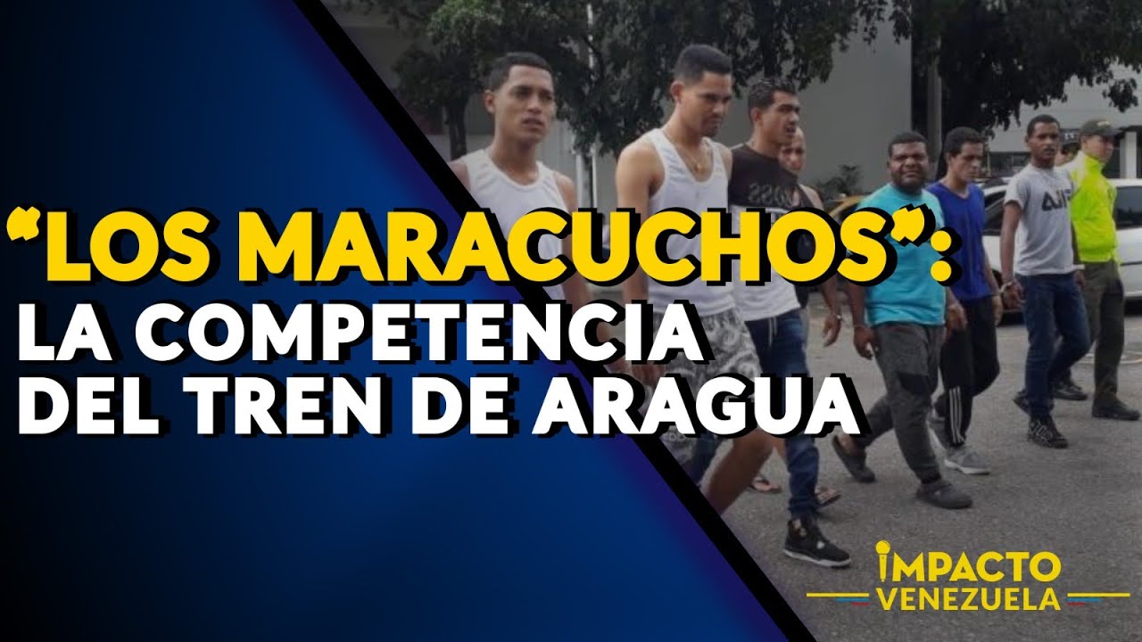 “LOS MARACUCHOS”: la competencia del Tren de Aragua | 🔵 Impacto ...