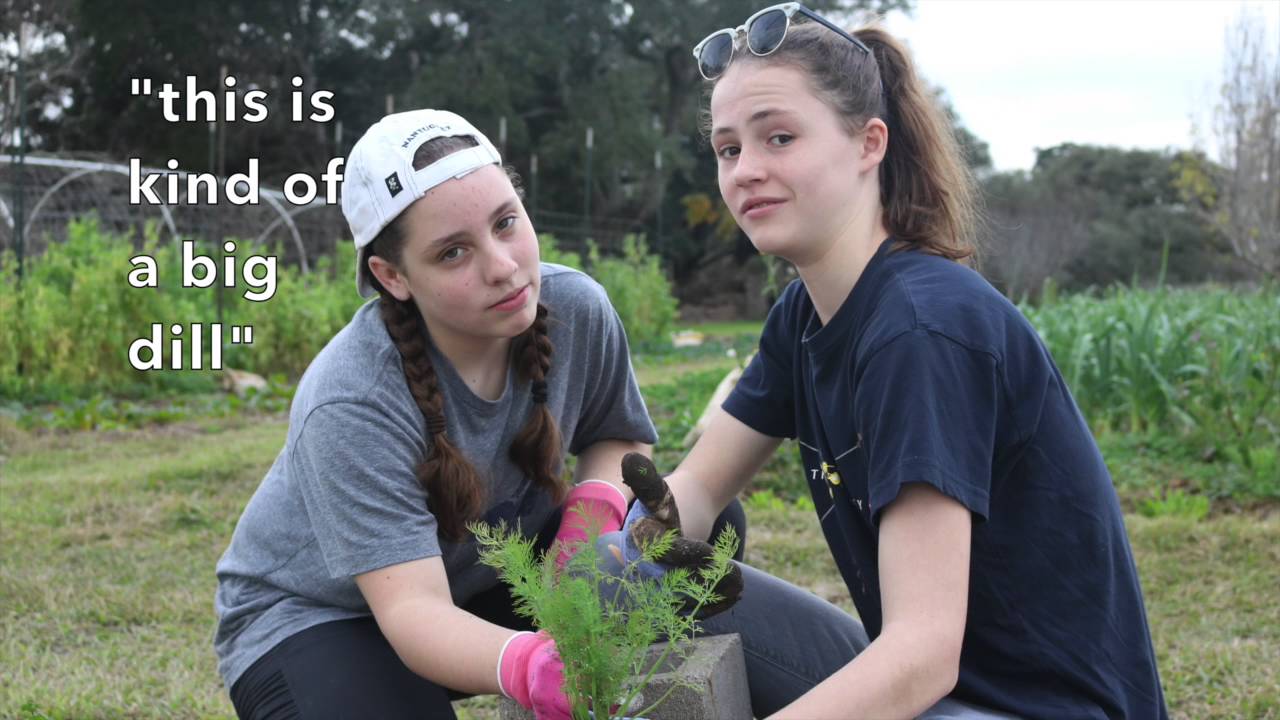 Interim Movie - YouTube