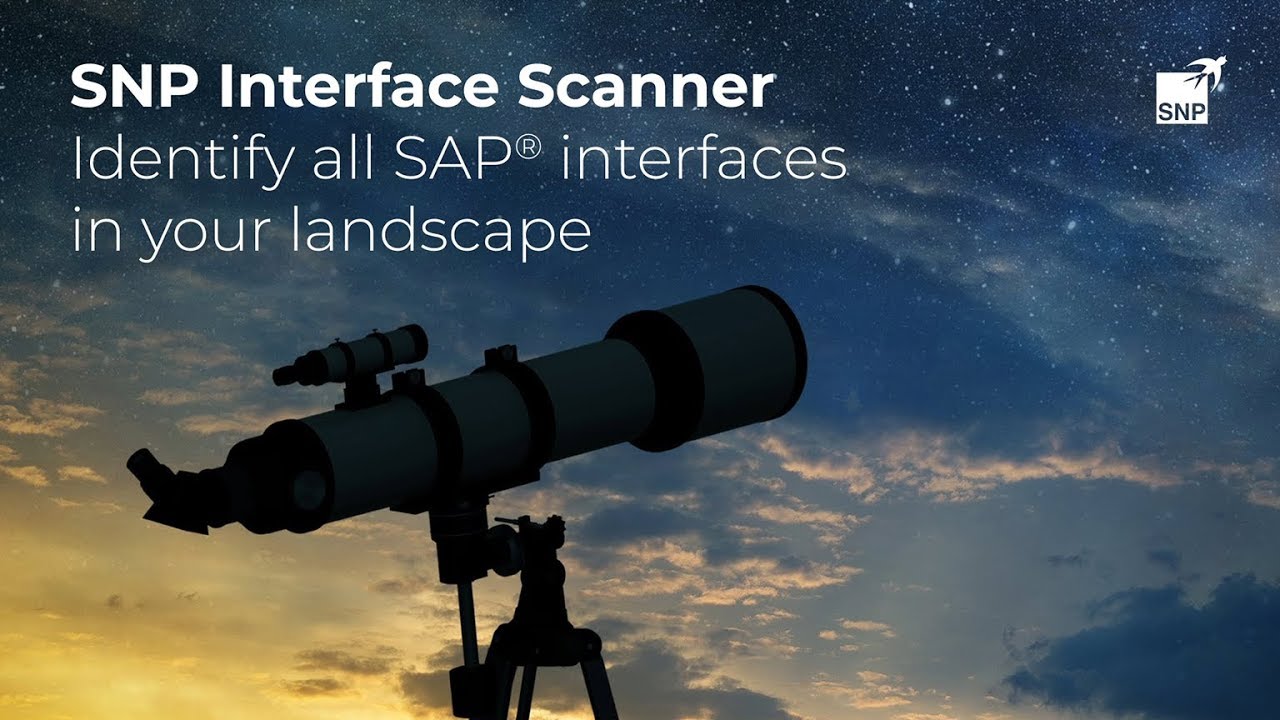 Interface Discovery (SNP Interface Scanner) – identify all SAP ...