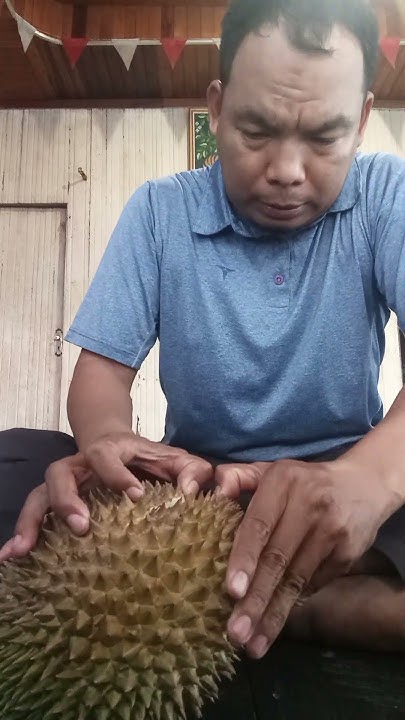 Unboxing Durian bekas di makan Tupai #nature #durian #indonesia - YouTube
