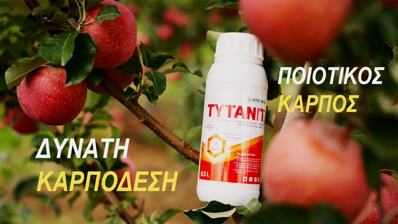 🌱TYTANIT σε ΜΗΛΑ: Δυνατή καρπόδεση & Ποιοτικός καρπός! - YouTube