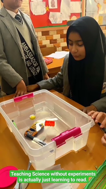 "Exploring Buoyancy : Students Dive into Science with Sink or Float ...