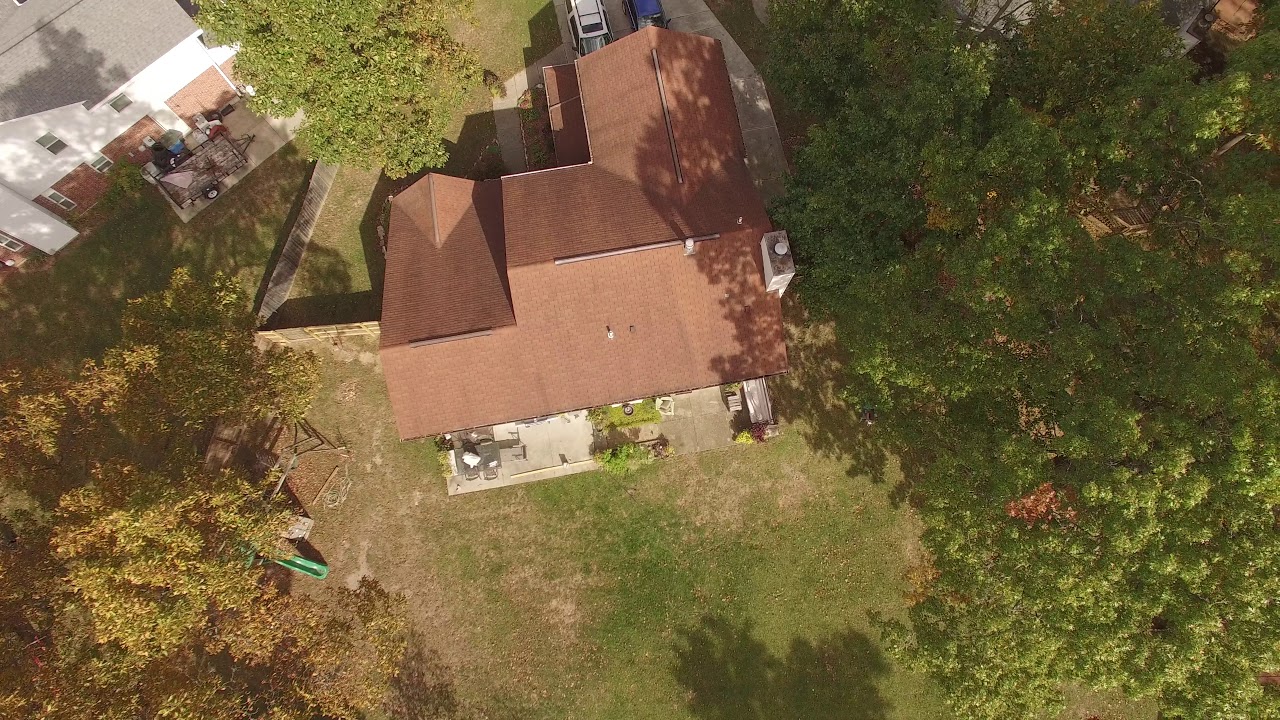 Large Oak Tree in Huber Heights 90Ft - YouTube