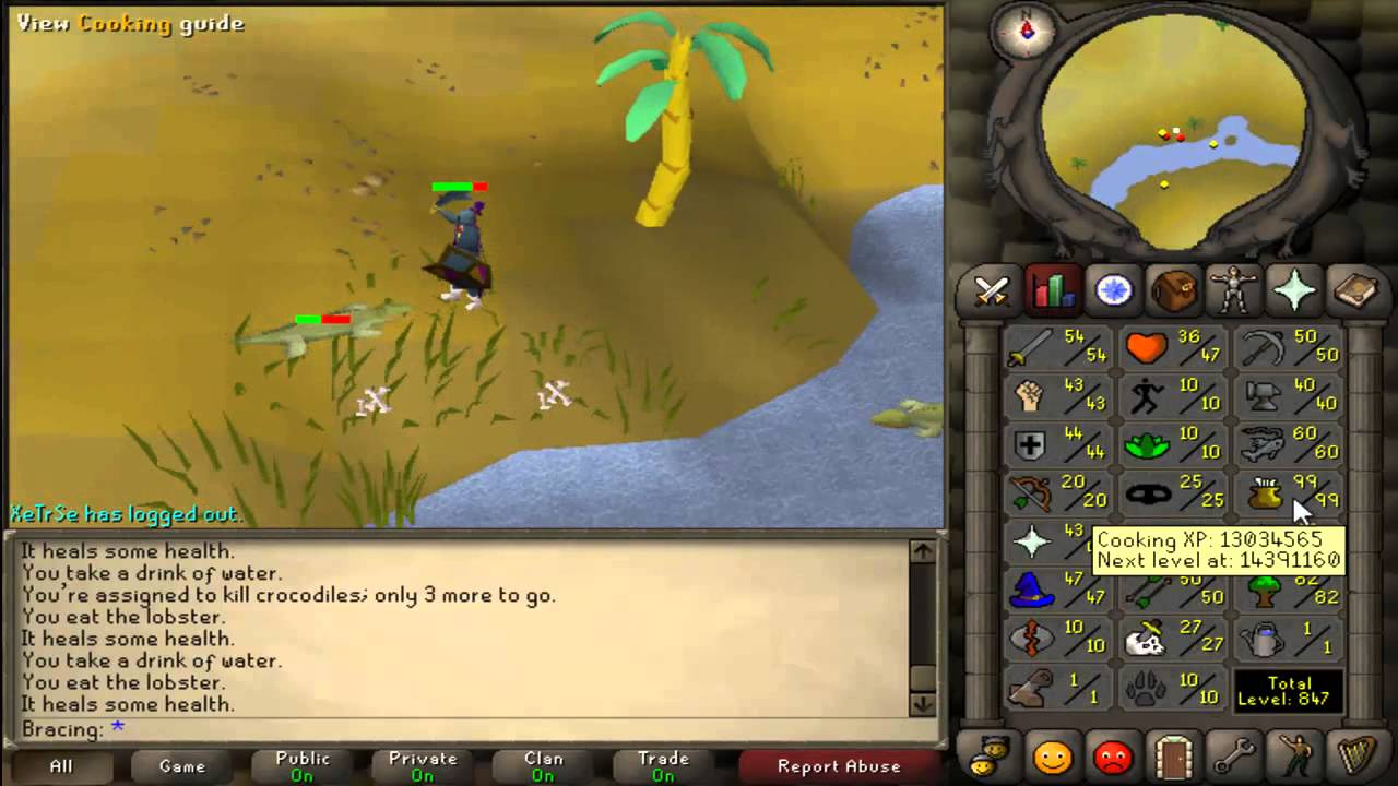 Runescape 2007 - Max Stats From Scratch - Ep. 11 - YouTube