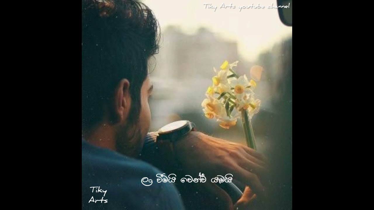 හිත දන්නා නුඹගෙන් මා Pathanne Ma පතන්නේ මා Cover Song Youtube Shorts