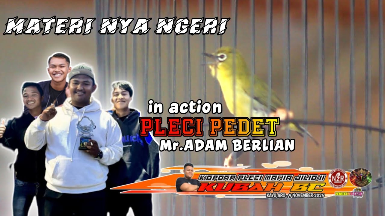 in action || PLECI " PEDET " milik boss ADAM BERLIAN || kopdar PLEMAN ...
