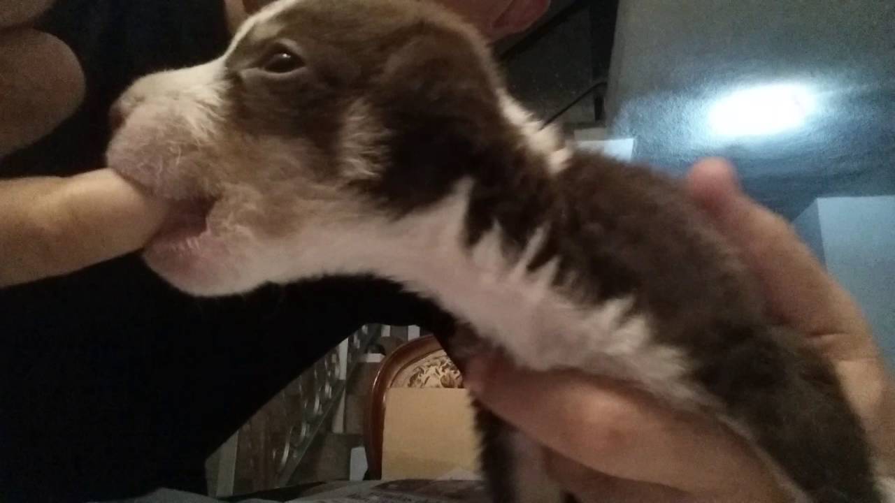 Sssssssssssss - YouTube