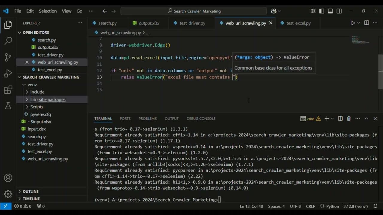 Python Automate Profile Search | Verify Exact URLs with Selenium,Pandas,Excel #marketing - YouTube