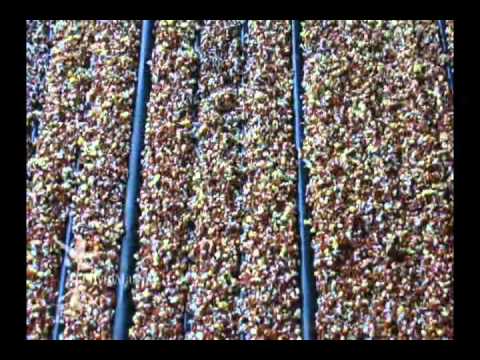 Mannatech Australasia | PhytoMatrix | Real Food Technology ...