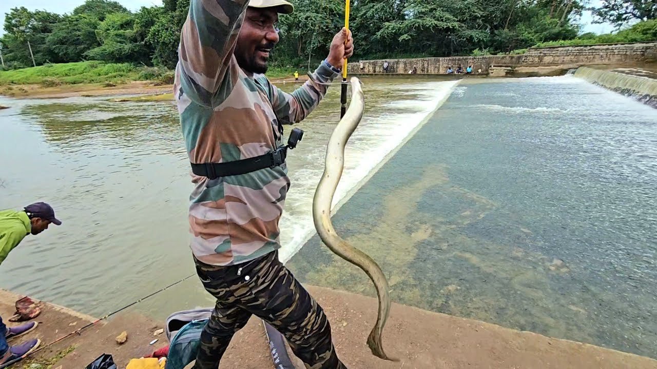Underwater Fishing Videos | Big Baam Fishese Catching | Eel Fish ...