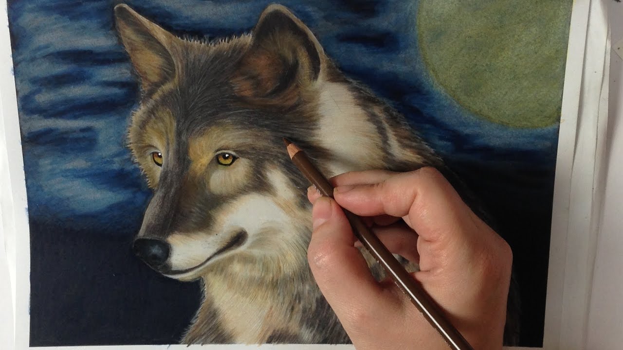 Intricate Ink Animals in detail - WOLF - colored pencils Prismacolor ...